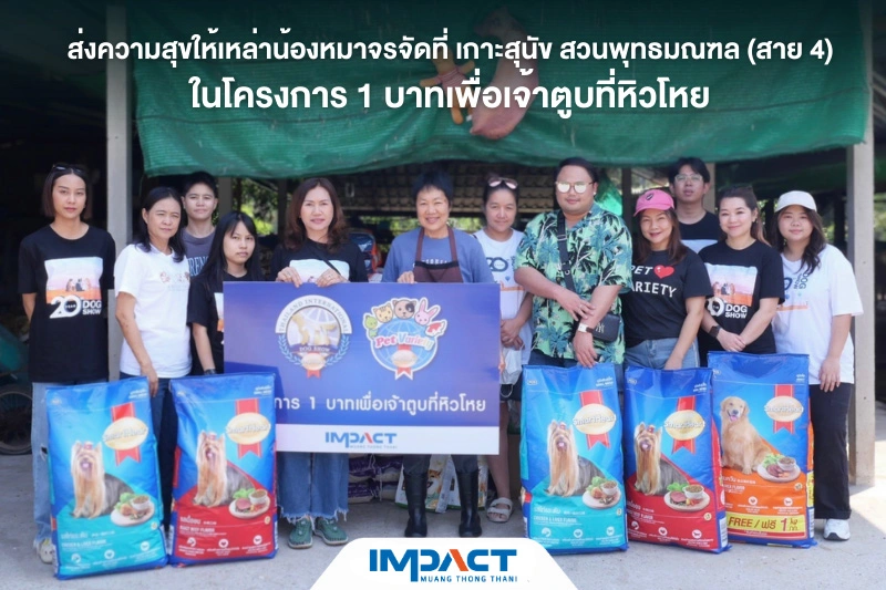 Pass on the joy for the New Year at Dog Island, Buddhist Monastery ...